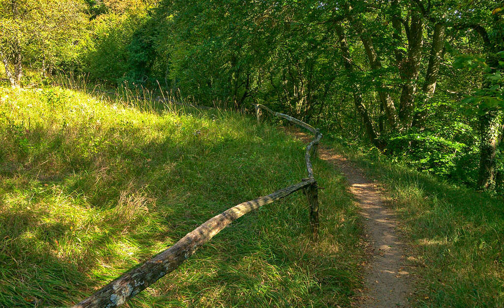 RÉSERVE NATURELLE NATIONALE DE MONTENACH (Montenach) | Pays ...