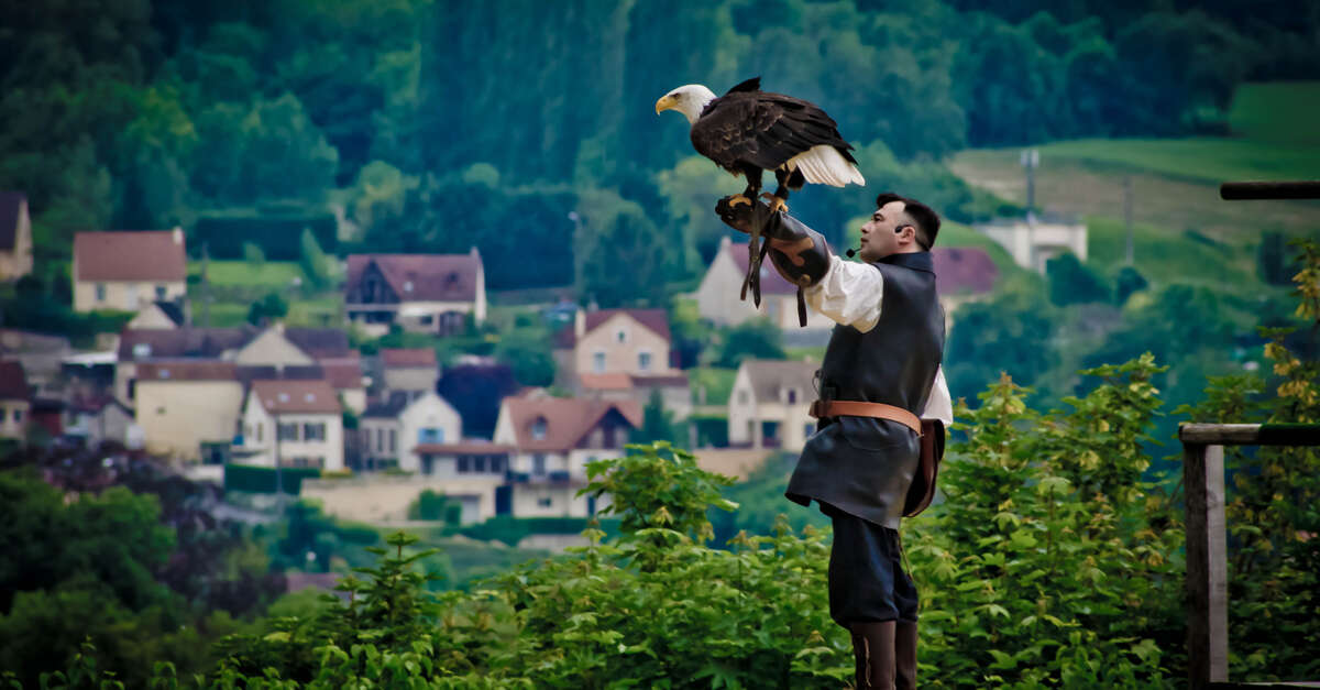 Fauconnerie du Château (Château-Thierry) | Randonner