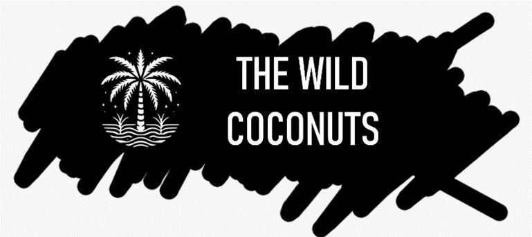 Scène d’Été au quartier balnéaire d’Onival : The Wild Coconuts (Ault ...