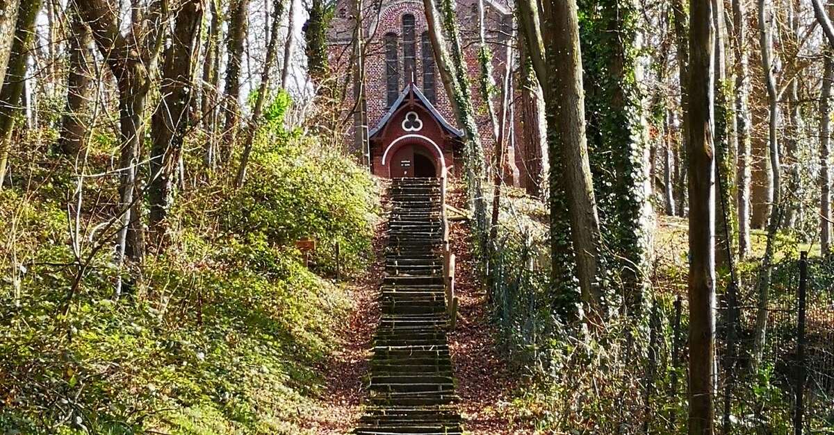 Focus sur le bois de Cise, une station balnéaire entre terre et mer ...