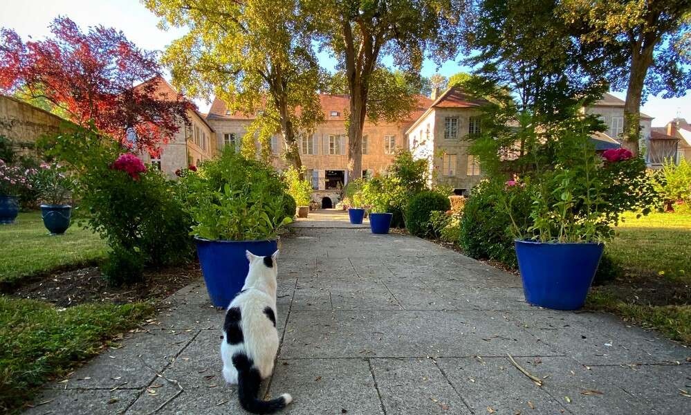 La Fontaine Racine (La Ferté-Milon) | Randonner