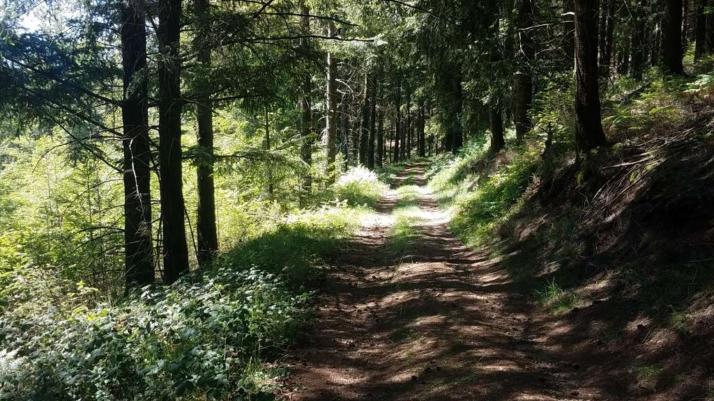 Le Mont Larron (Saint-julien-le-petit) | Limousin - Nouveaux Horizons