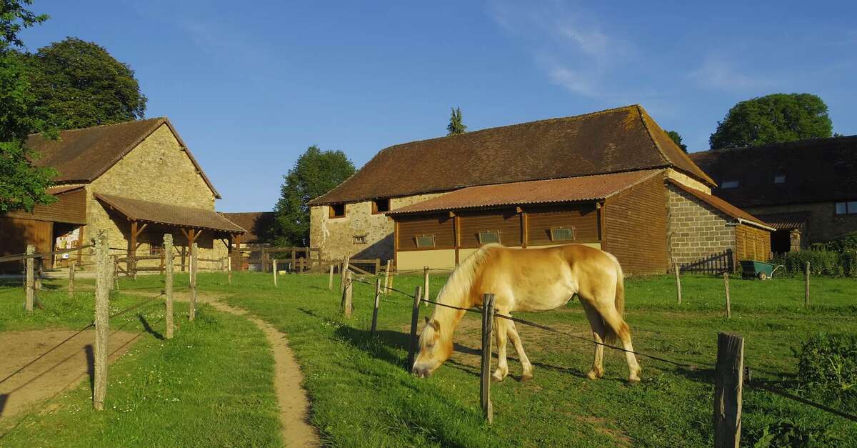 Poney club Equi-libre (Chateau-chervix, Château-Chervix) | Limousin ...
