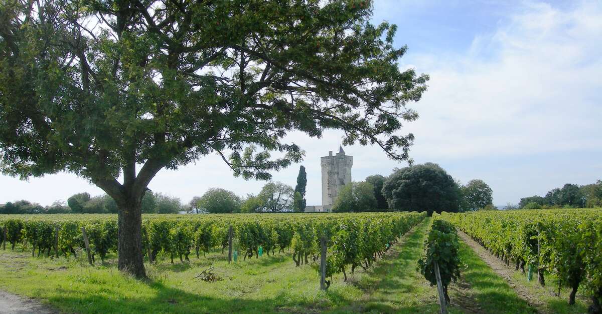 Le Sentier de la Reine Blanche (Ranton) | Office de Tourisme du Pays ...