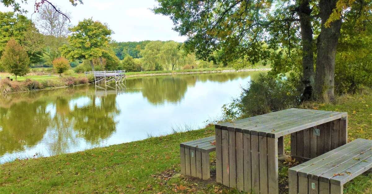 Etang de Coux : Aire de pique-nique (Auzances) | Tourisme Creuse Limousin