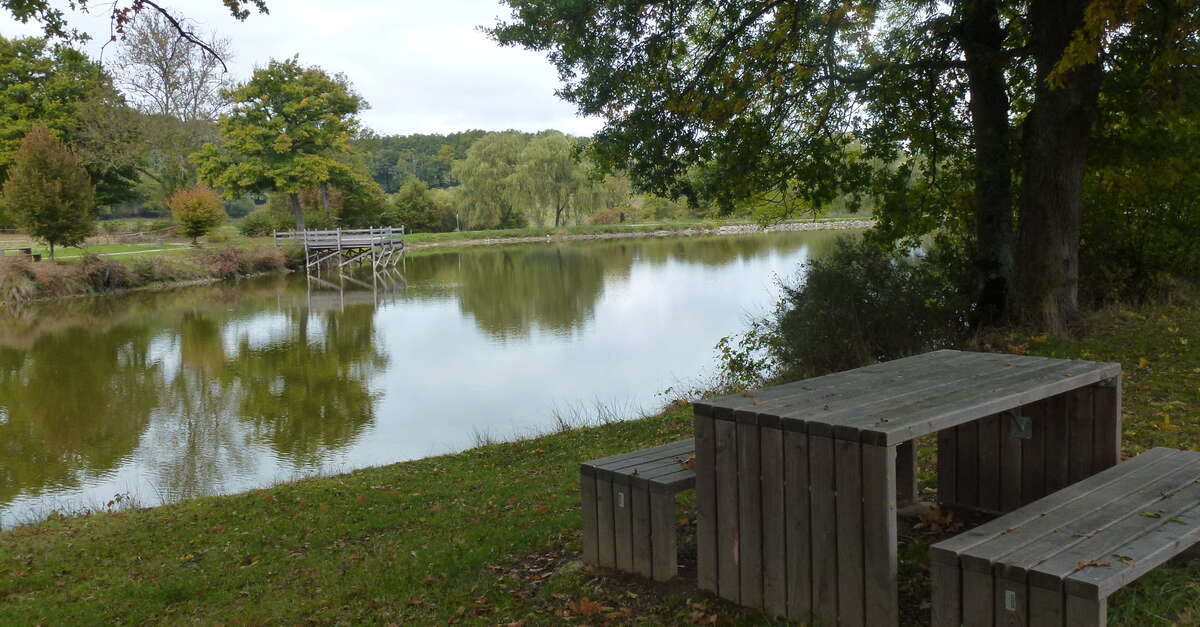 Etang de Coux (Auzances) | Tourisme Creuse Limousin
