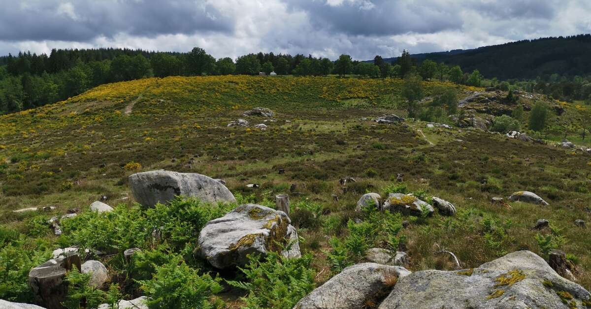 La Tourbière de la Mazure (Royere-de-vassiviere, Royère-de-Vassivière ...