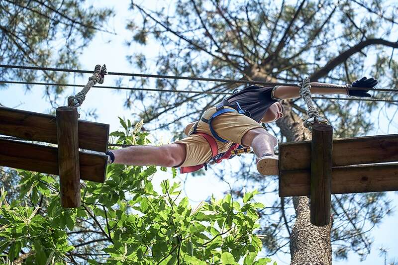 Quelneuc Aventure Forest – Parc multi activités (Carentoir ...