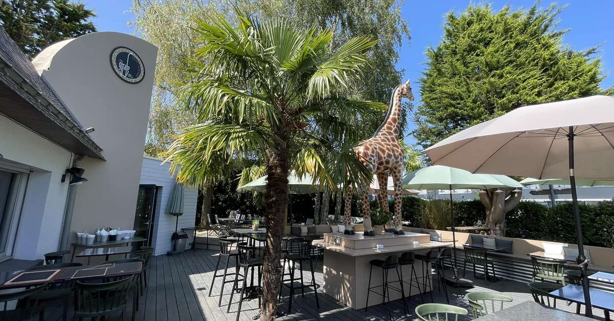 Bar La Girafe qui boite (Auray) | Tourisme dans le Morbihan