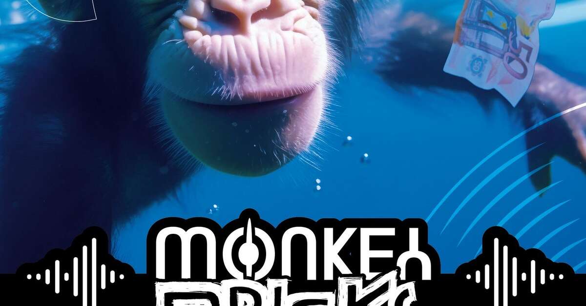 Monkey Pricks au No Name (Landunvez) | Brittany tourism