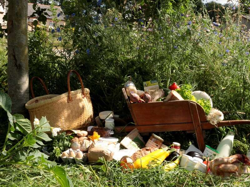 Clic ta berouette (Ploërmel) | Destination Brocéliande in Brittany