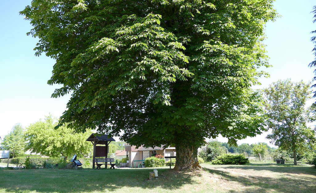 Circuit de randonnée Par Monts et par Vergnes (Merinchal, Mérinchal ...