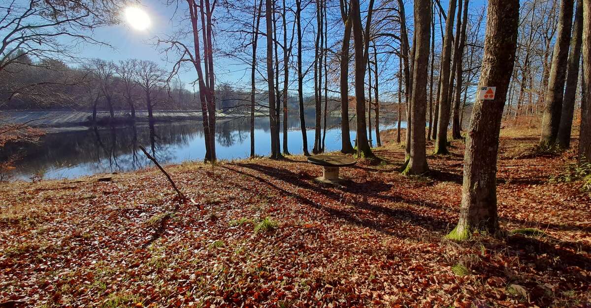 Randoguide Secret de Nature (Marsac) | Tourisme Creuse Limousin