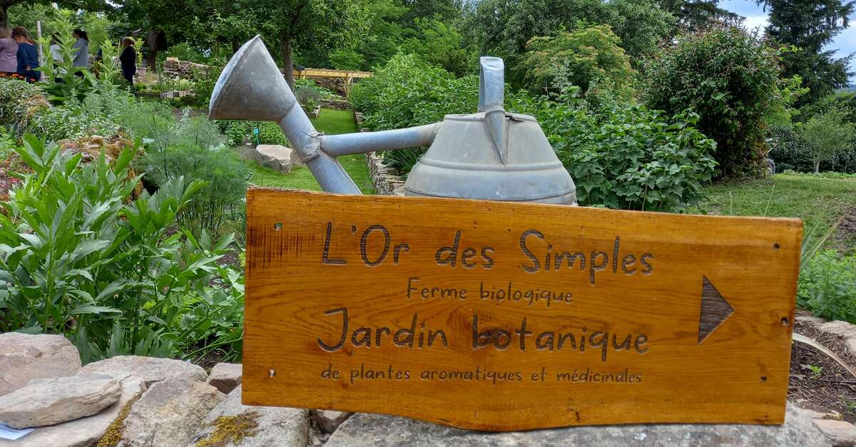 L’Or des Simples – jardin botanique de plantes médicinales (Rancon ...