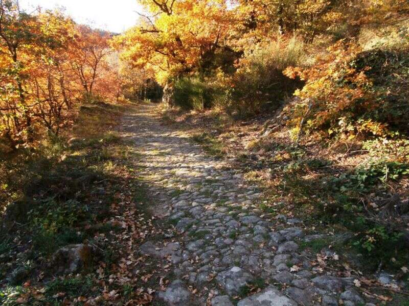 Circuit Uni’Vert Trail n°3 “Via Agrippa” (Saint-auvent) | Limousin ...