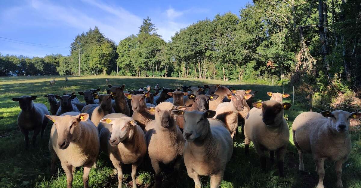 GRP® Monts et Barrages en Limousin – Etape 5 – De Nedde à Eymoutiers ...