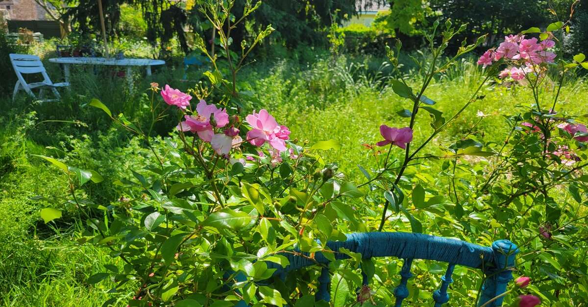Café Rosa, le café associatif éphémère de l’association Vayres à Soi ...