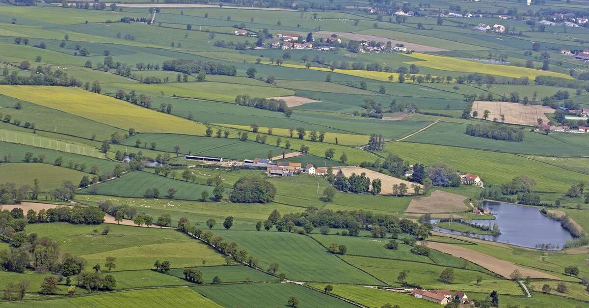 Le sentier de la Brande de Landes (Gouzon) | Tourisme Creuse Limousin