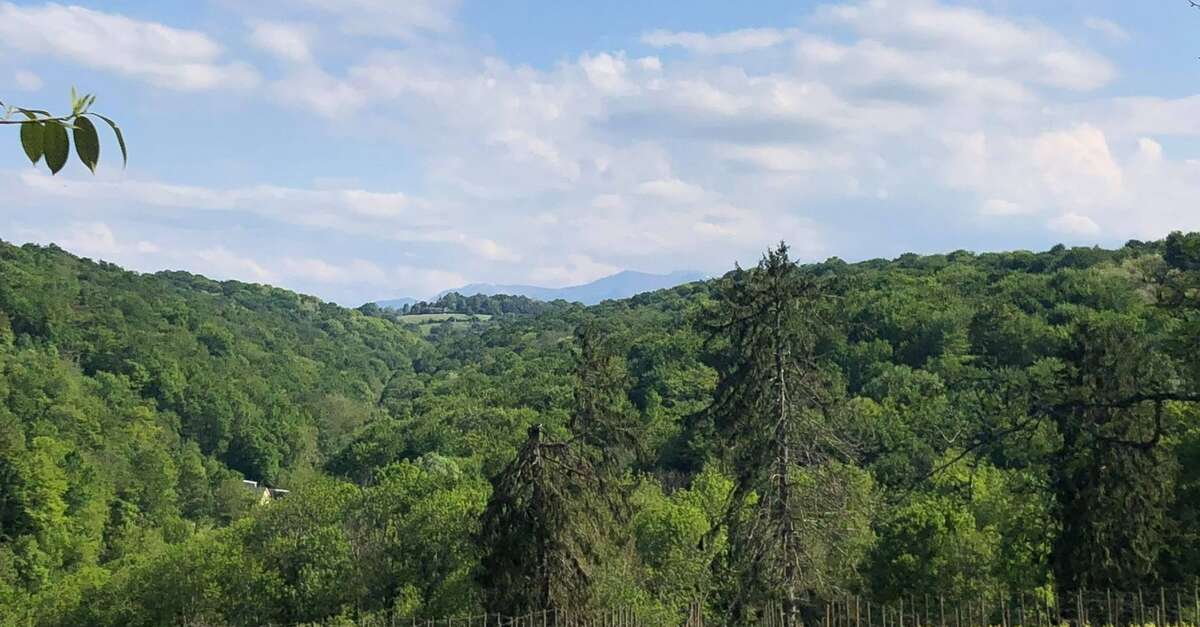 Domaine de Sarros (Gelos) | Pau Pyrénées Tourisme