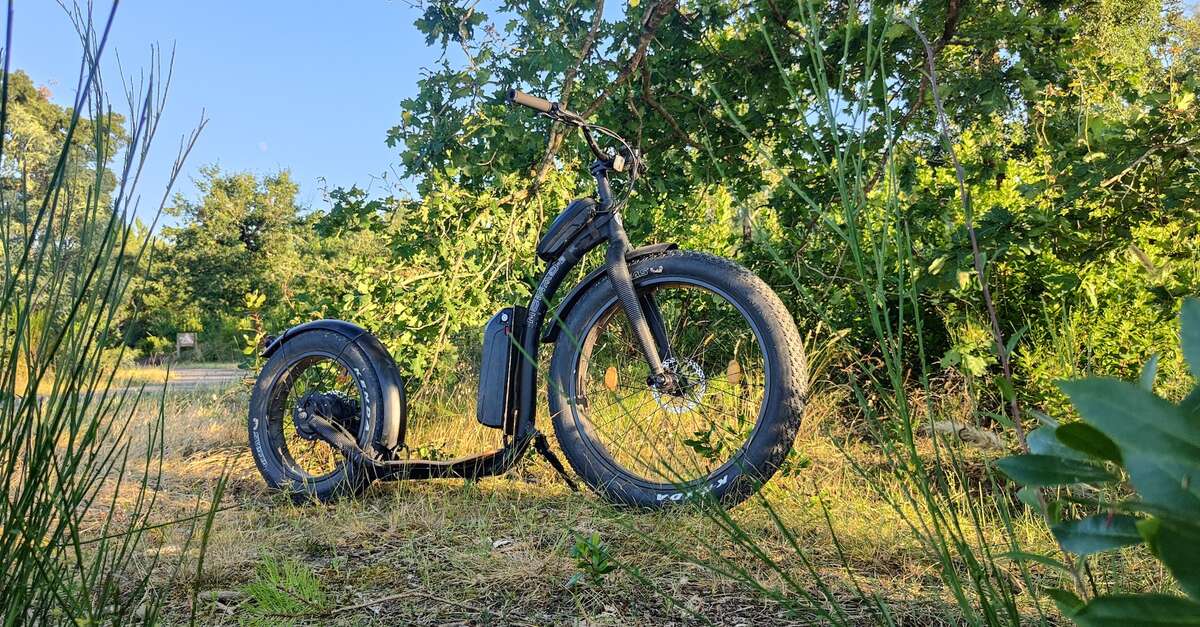 Découvrez Mézos lors d’une balade 100% Landaises entre Airials et Pins ...