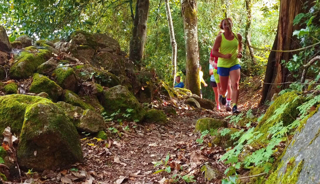 Circuit Uni’Vert Trail n°7 : Urbain’POLT (La Souterraine) | Tourisme ...