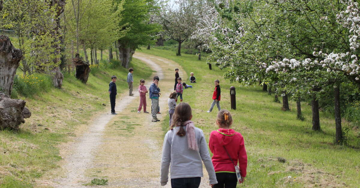 Maison botanique (Boursay) | Office de Tourisme de Vendôme