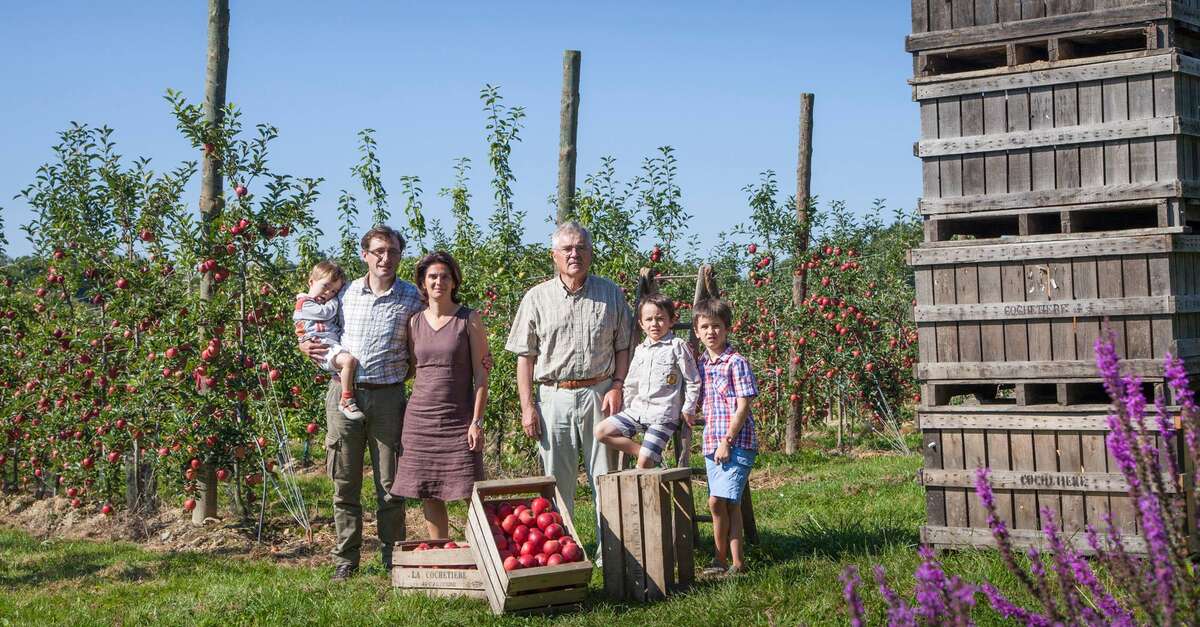 FLASH FRUITS – VERGER DE LA COCHETIÈRE (Champigné, Les Hauts-d’Anjou ...
