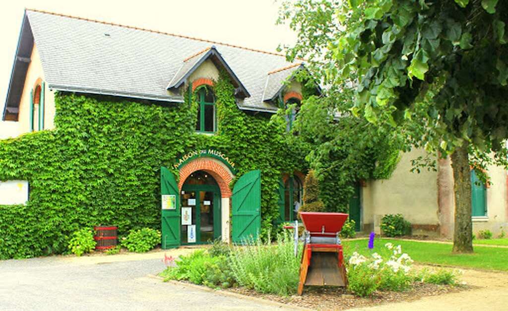 Maison du Muscadet (Vallet) | Destination Vignoble Nantais