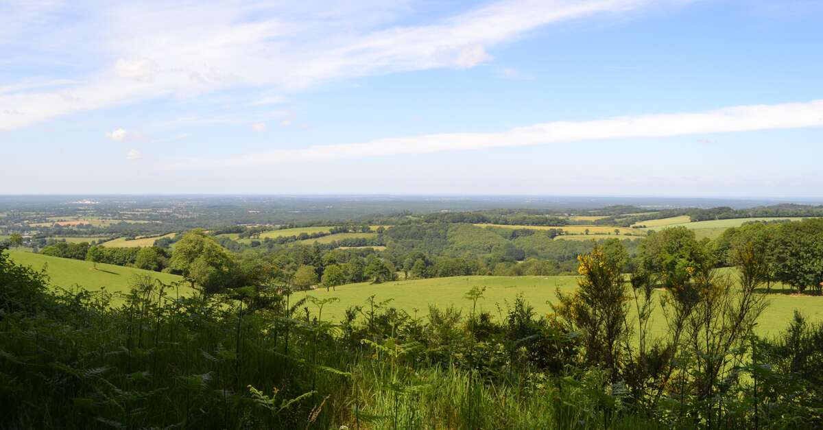 SUR LE FLANC DU MONT ROCHARD – N°22 (Sainte-Gemmes-le-Robert) | Portail ...