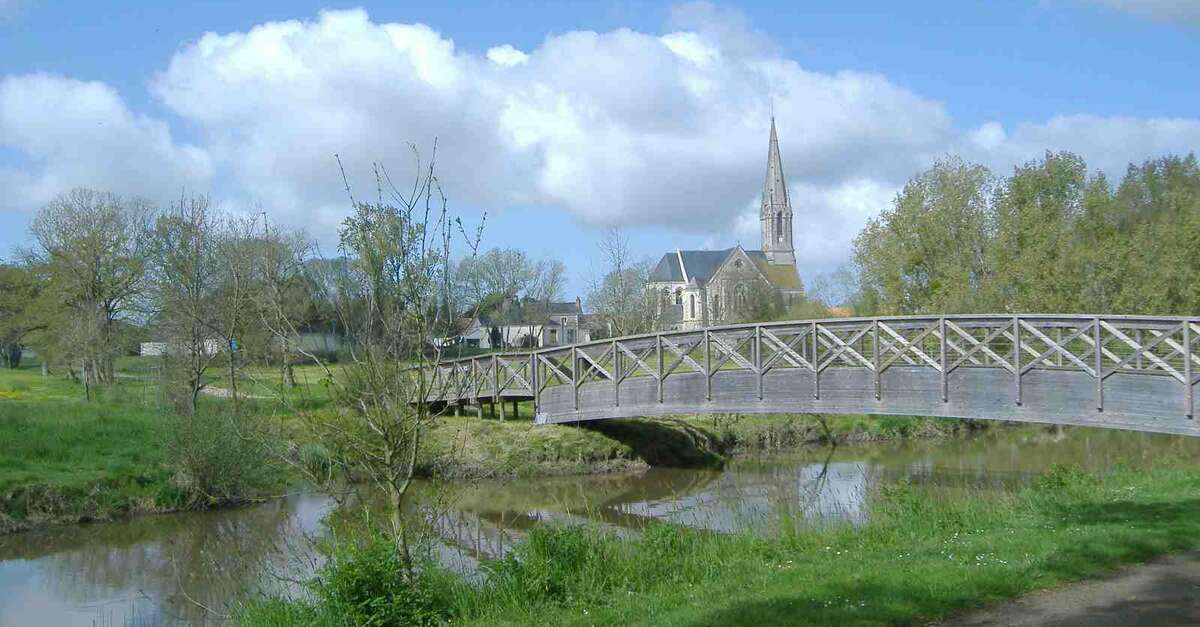 LA FORET DE MACHECOUL (Machecoul) | Sud Retz Atlantique Tourisme