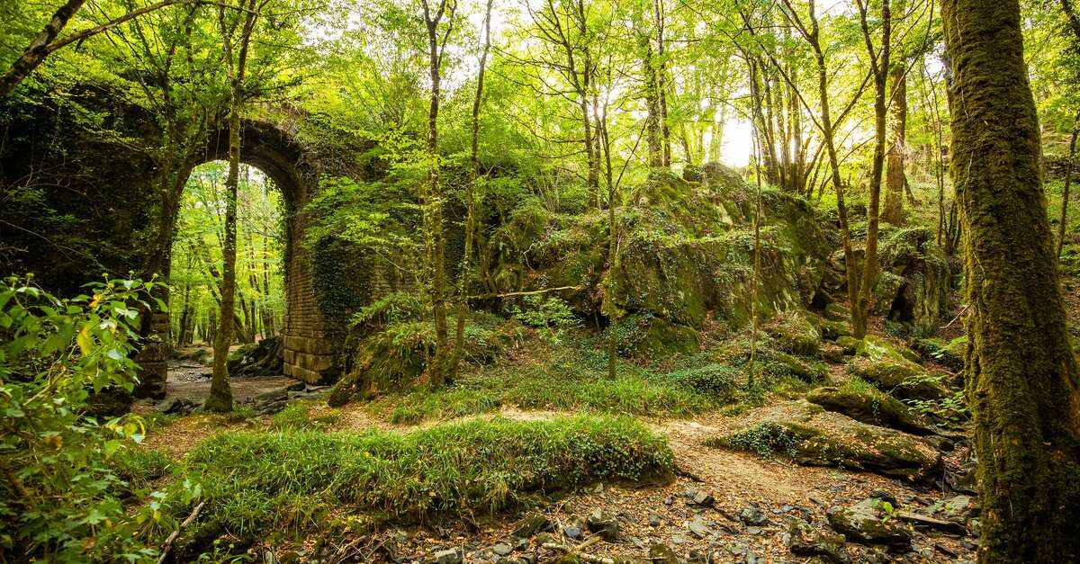 CIRCUIT PÉDESTRE AUTOUR DE MERVENT (Mervent) | Office de Tourisme Pays ...