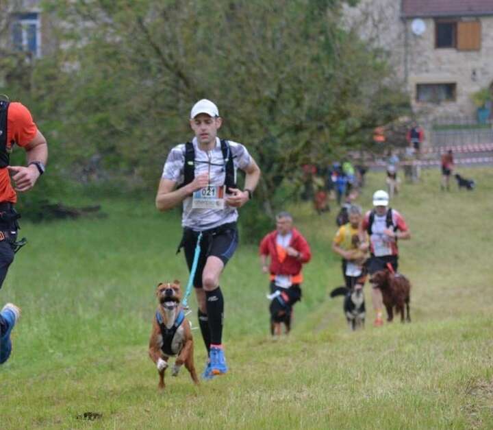 Festival Résurgence VIII – « Randonnée pour bouger avec son chien ...