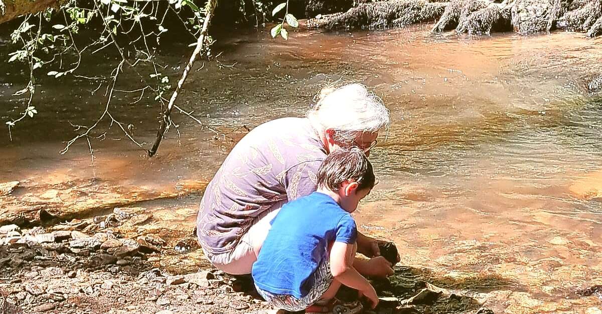 La faune et la flore du vallon de Roquecourbine (Reygade) | Vallée de ...