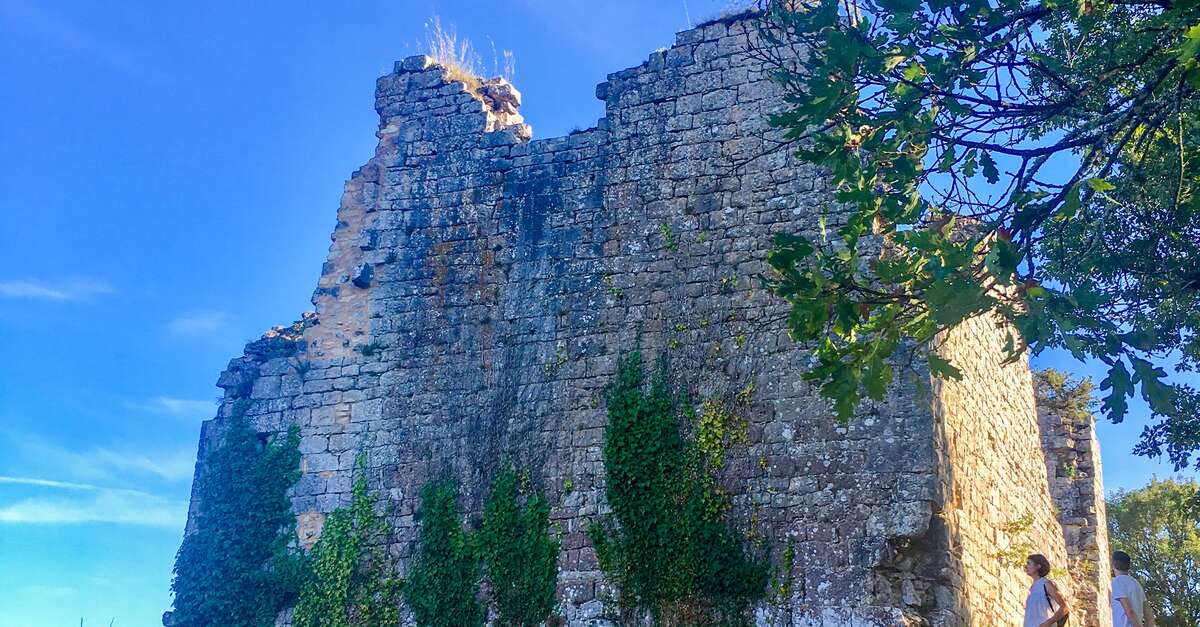 Visite nature – LPO et château de Taillefer avec le Pays d’art et d ...