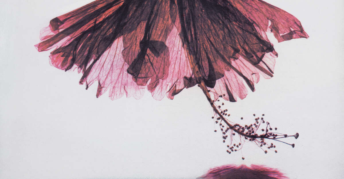 L’ANTIDOTE – Exposition « L’impermanence » (Strenquels) | Tourisme Lot