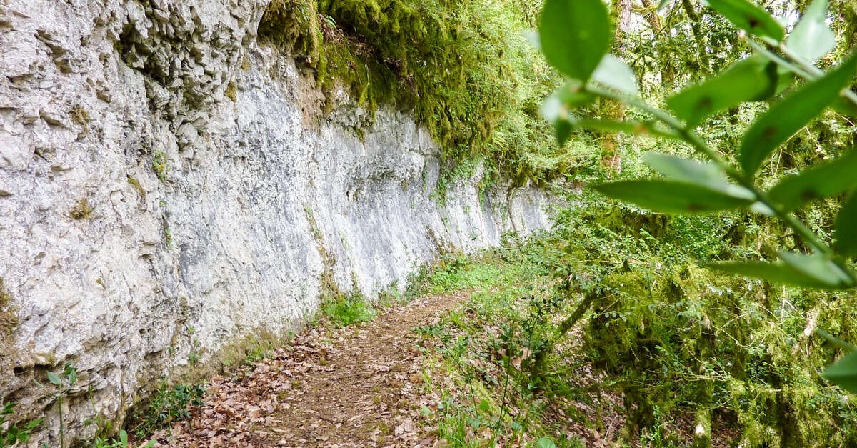 Des Rochers et des Hommes (Saint-Sozy) | Tourisme Lot