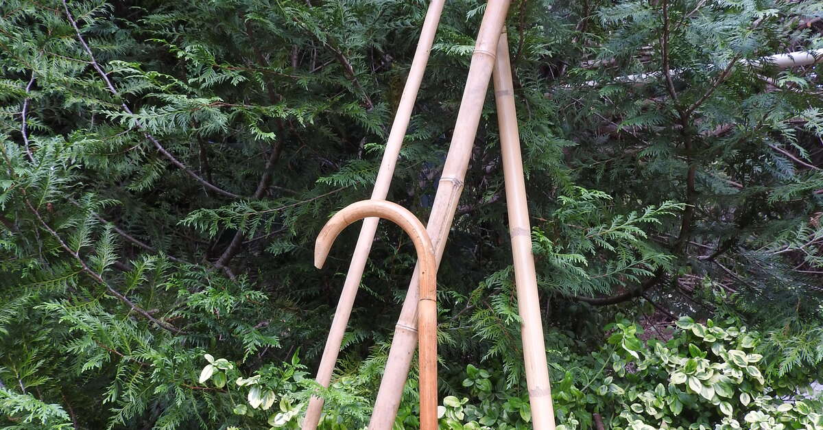 Association « Les Sens de la Nature » (Montcléra) | Pays de Gourdon