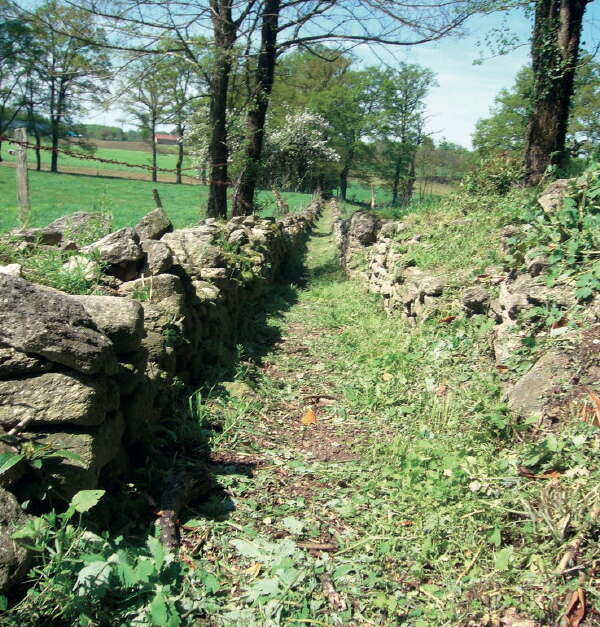 Circuit des Chemins Creux et Châtaigniers (Lauresses) | Figeac Tourisme ...