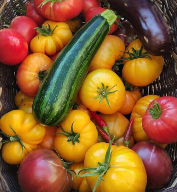 Printemps à la ferme – Le Lopin de Serre (Saint-Martin-la-Méanne ...