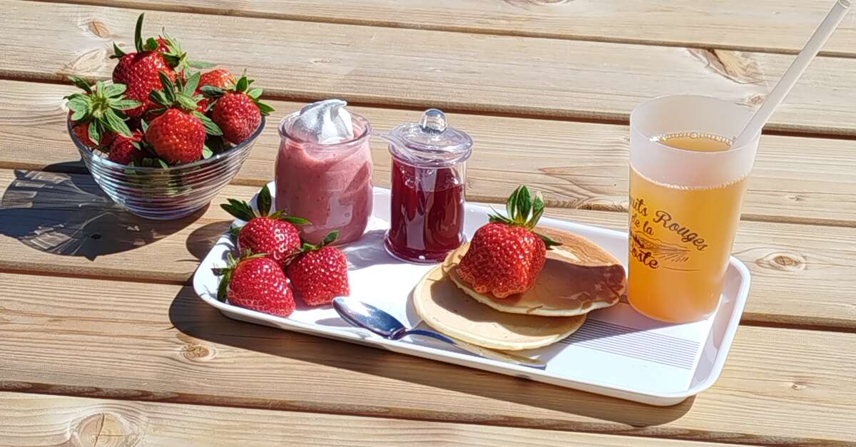 LES FRUITS ROUGES DE LA COSTE (Saint-germain-du-teil) | De l'Aubrac aux ...