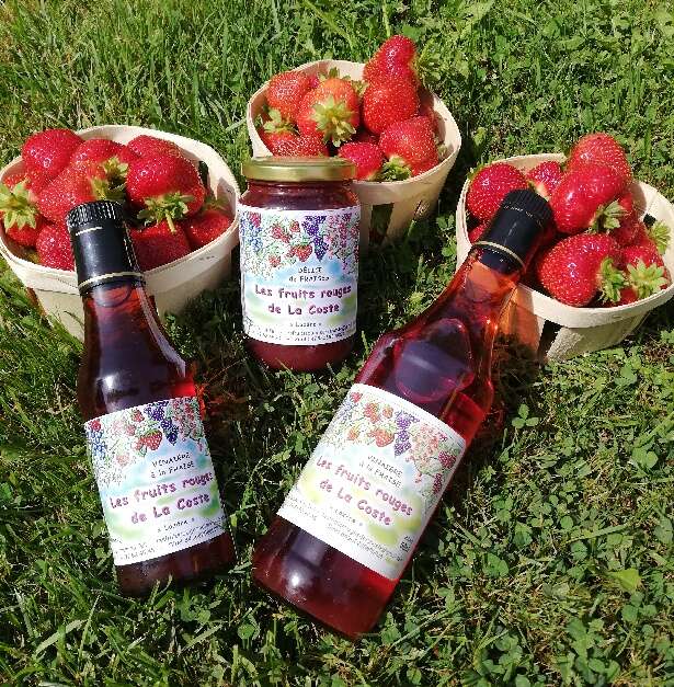 FRUITS ROUGES DE LA COSTE (Saint-germain-du-teil) | De l'Aubrac aux ...