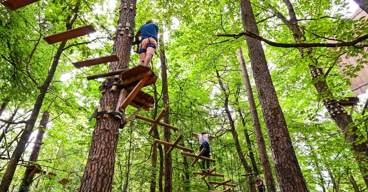 Ludana Parc (Camors) | Tourisme dans le Morbihan