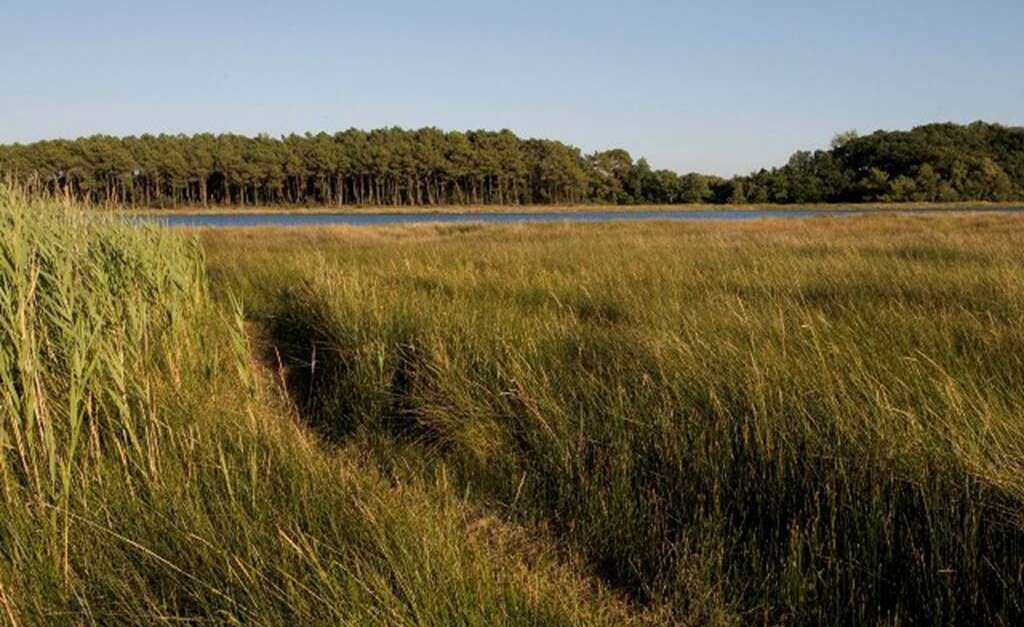 Forêt et pointe du Listoir (Landévant) | Tourisme dans le Morbihan