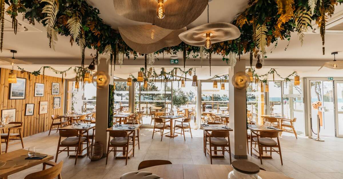 Restaurant La Canopée (Carnac) | Tourisme dans le Morbihan