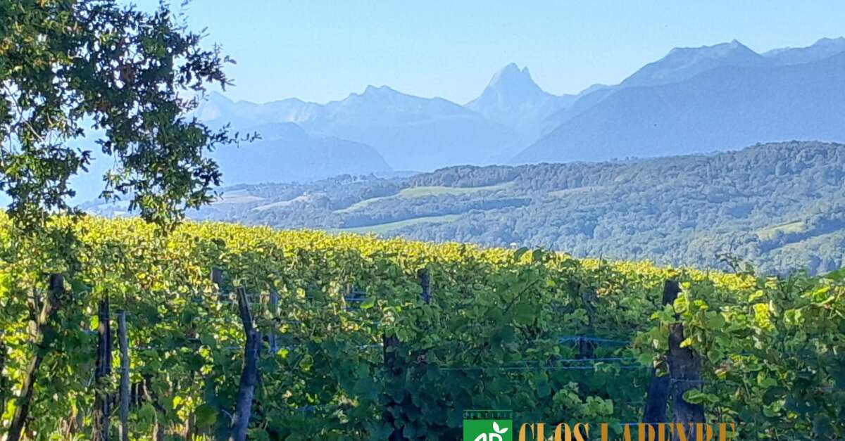 Clos Lapeyre (Jurancon, Jurançon) | Pau Pyrénées Tourisme