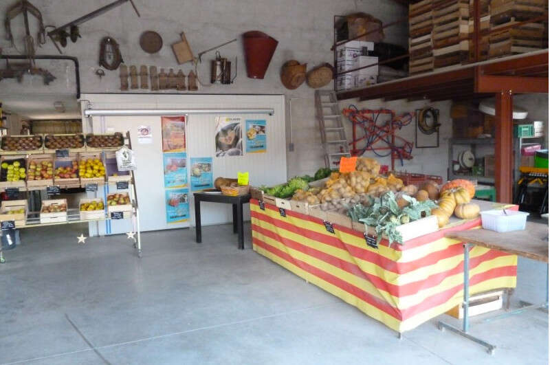 MARAICHAGE FILLOLS – CHEZ BERNARD ET MADO (Pia) | Tourisme Pyrénées ...