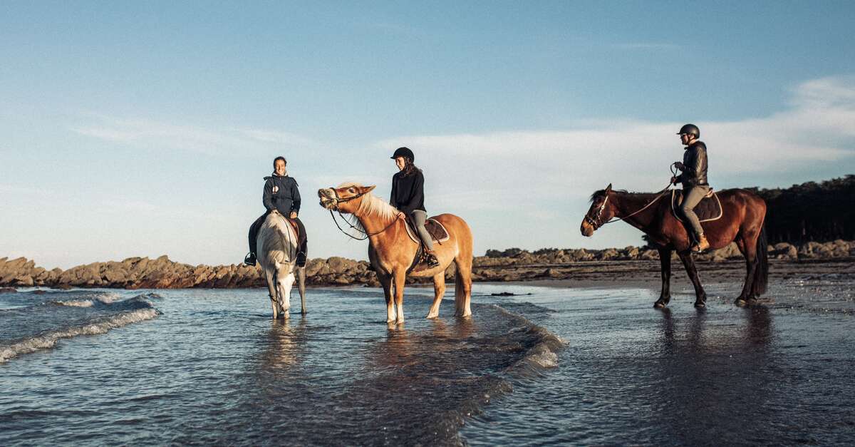 Balades à cheval avec Caval Coaching - L' Île-d'Yeu | Office de ...