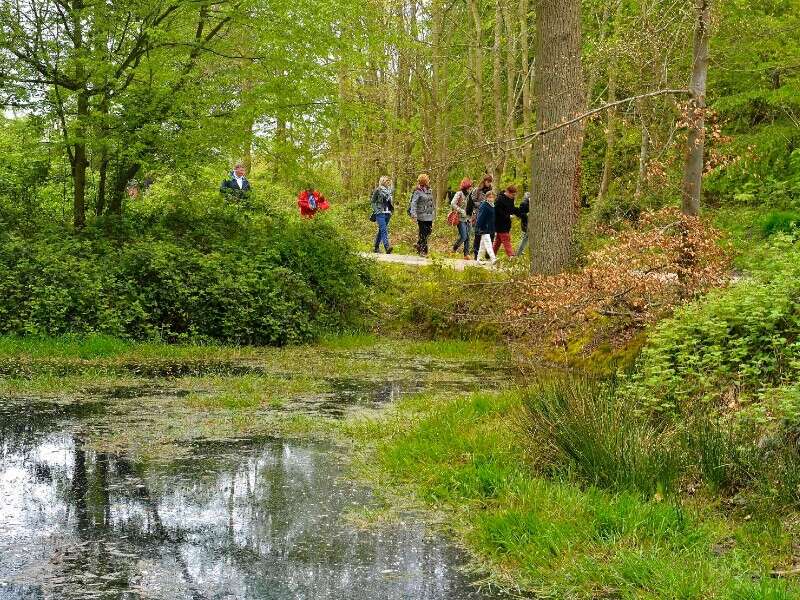 Maison des forêts Orival (Orival)