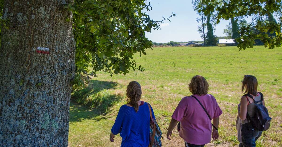 Autour de Beau Soleil (Tourville-les-Ifs) | Office de Tourisme de Fécamp