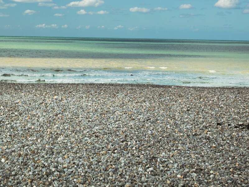 Plage-Baignade Mesnil-Val (Criel-sur-Mer) | Destination LE TREPORT - MERS